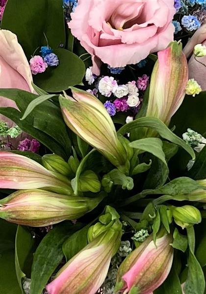 Pastel Rainbow Gyp Hat Box